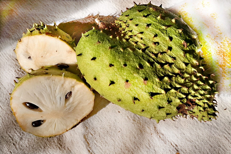 Soursop - Foodpaths in Auroville